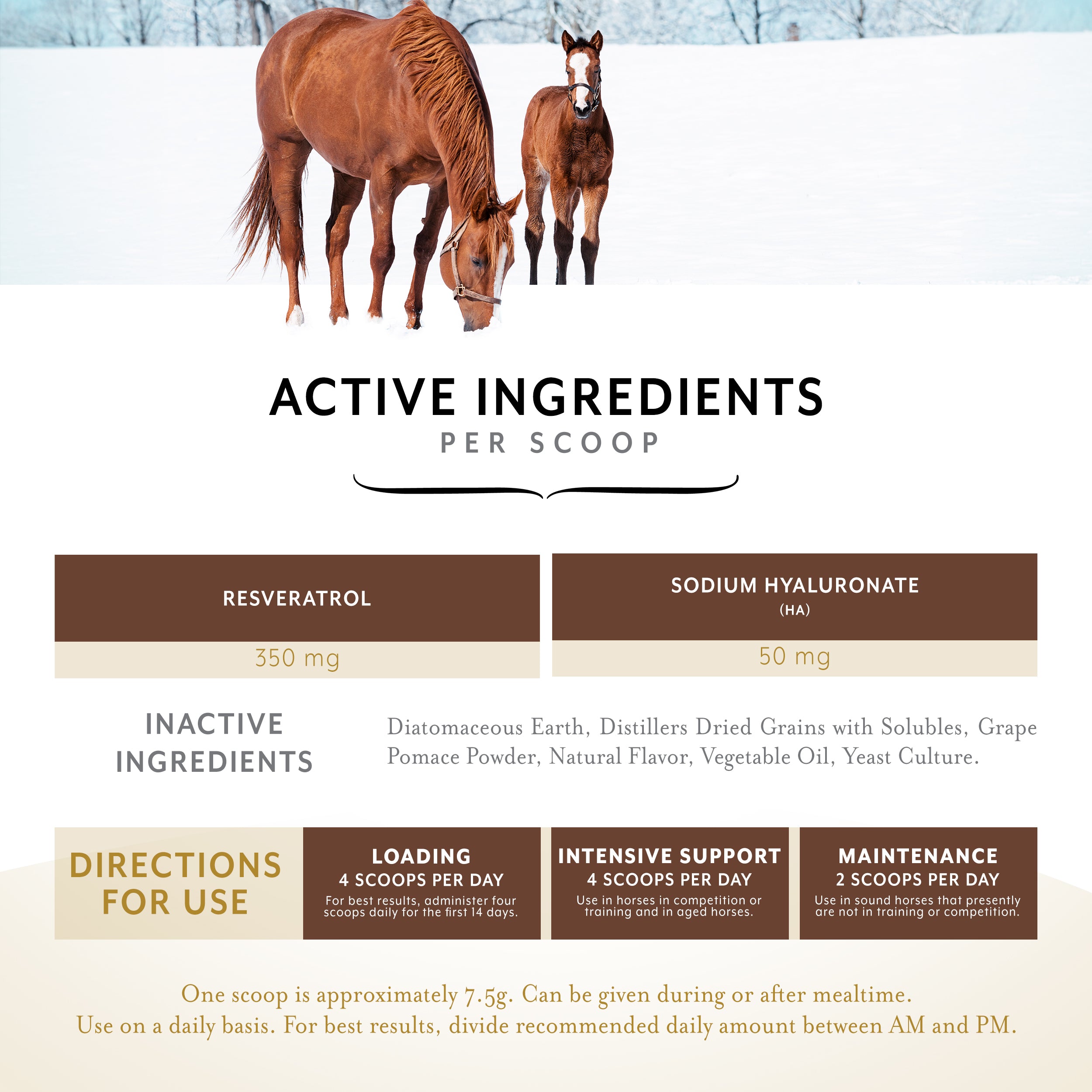 Equithrive® Joint Powder Supplement | Molasses Flavored Powder
